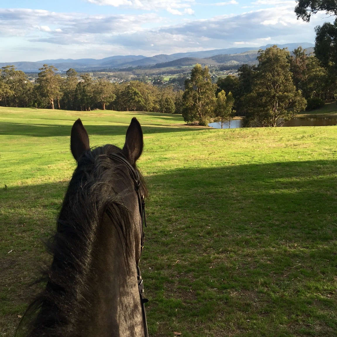 Photo Gallery - Pringle Park Equestrian Centre