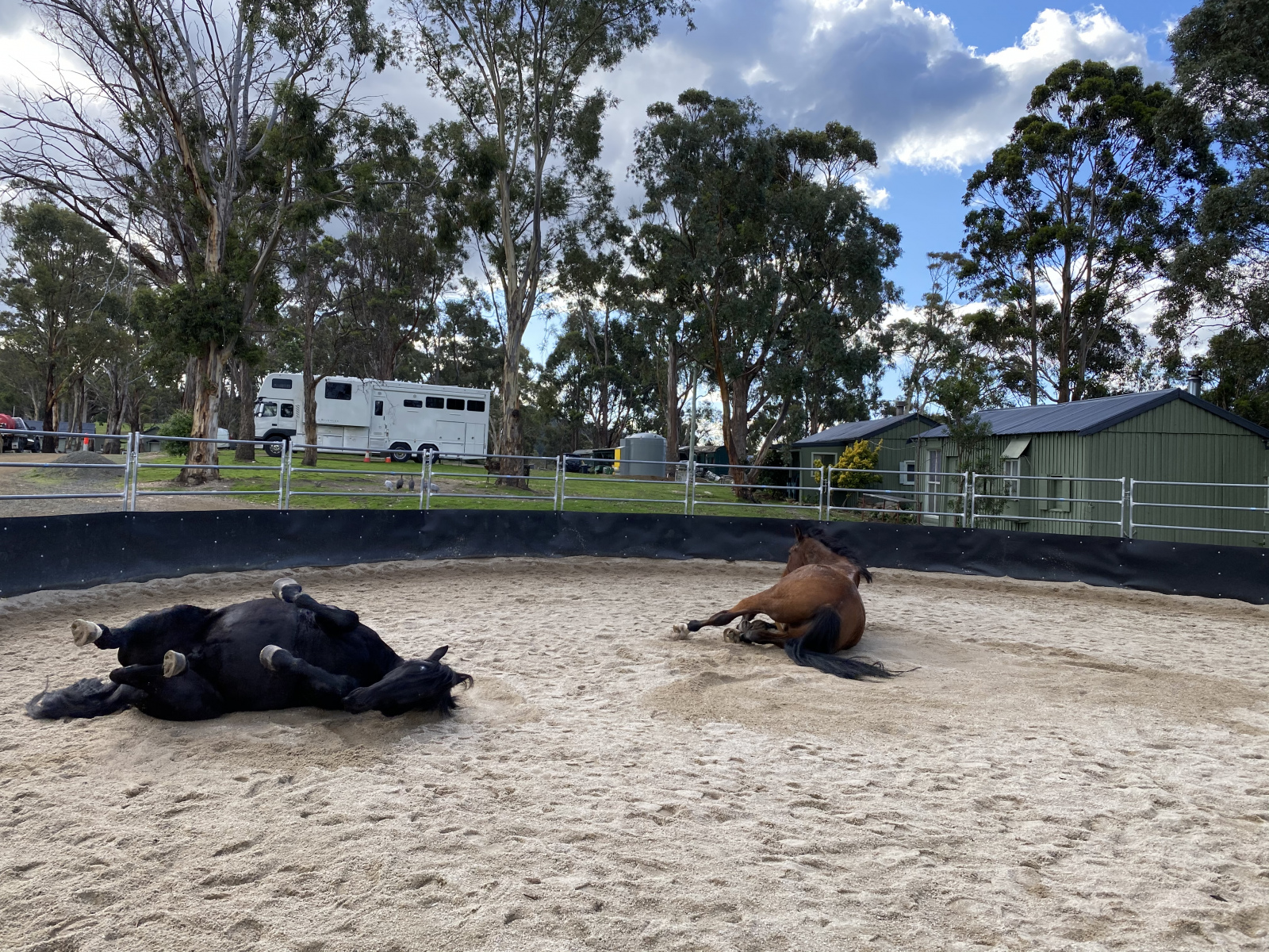 Photo Gallery - Pringle Park Equestrian Centre