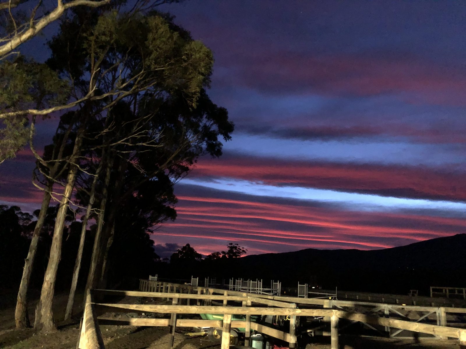 Photo Gallery - Pringle Park Equestrian Centre