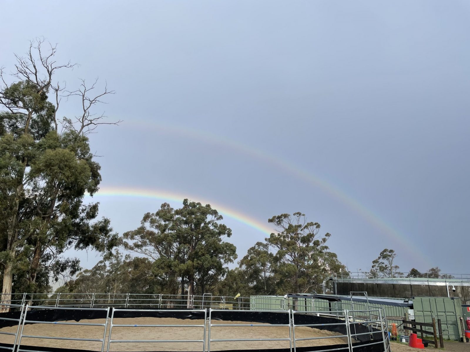Photo Gallery - Pringle Park Equestrian Centre