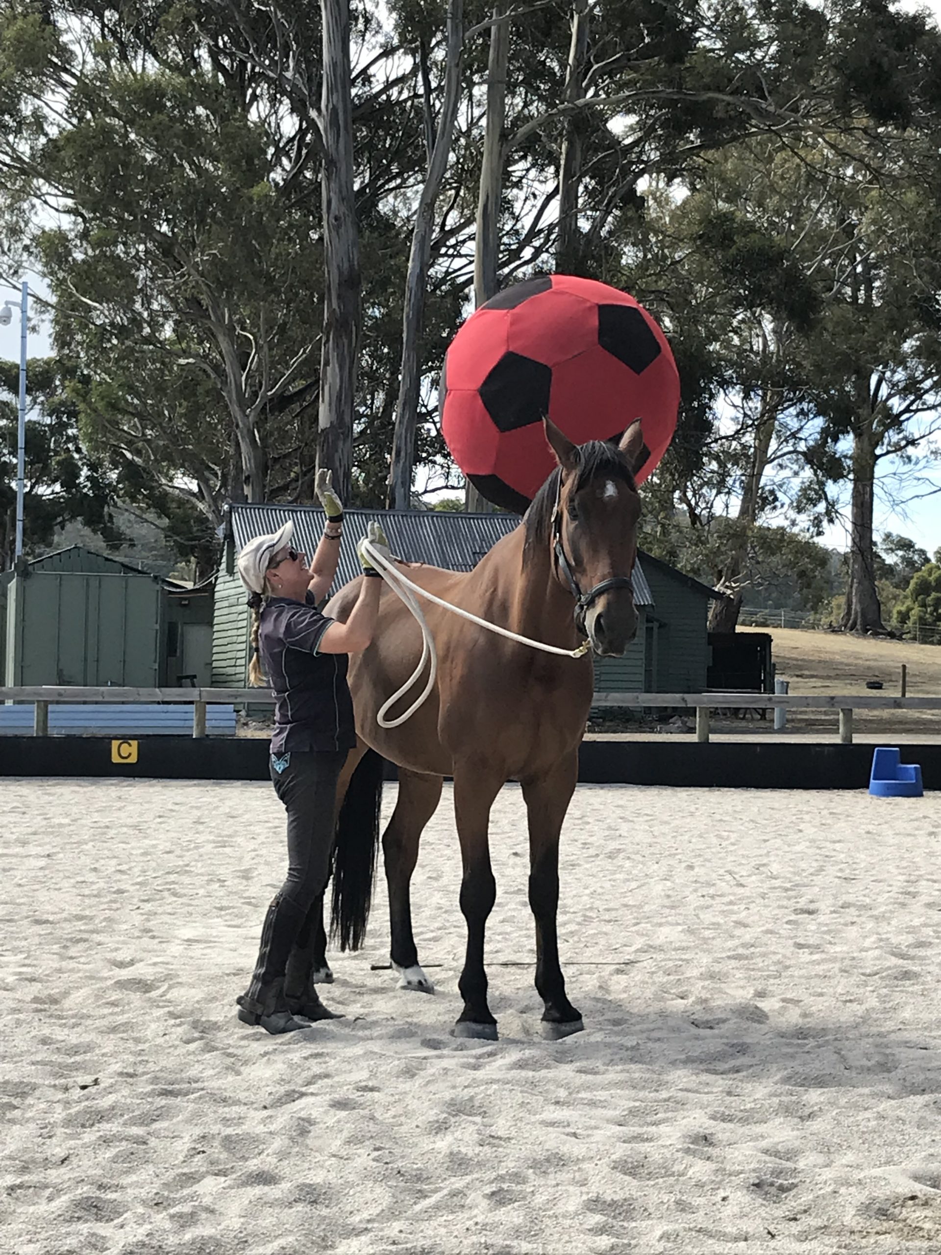 Facilities - Pringle Park Equestrian Centre