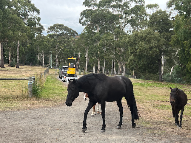 Photo Gallery - Pringle Park Equestrian Centre